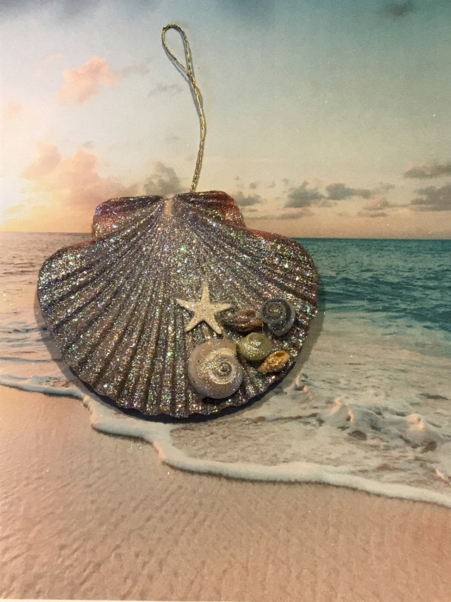 SparklingSeashells - Etsy