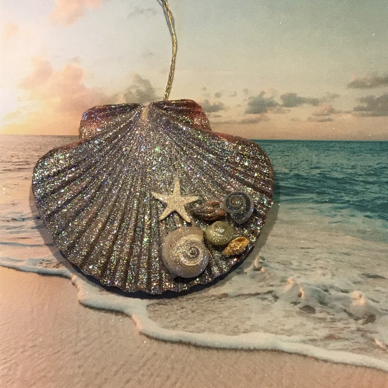 SparklingSeashells - Etsy