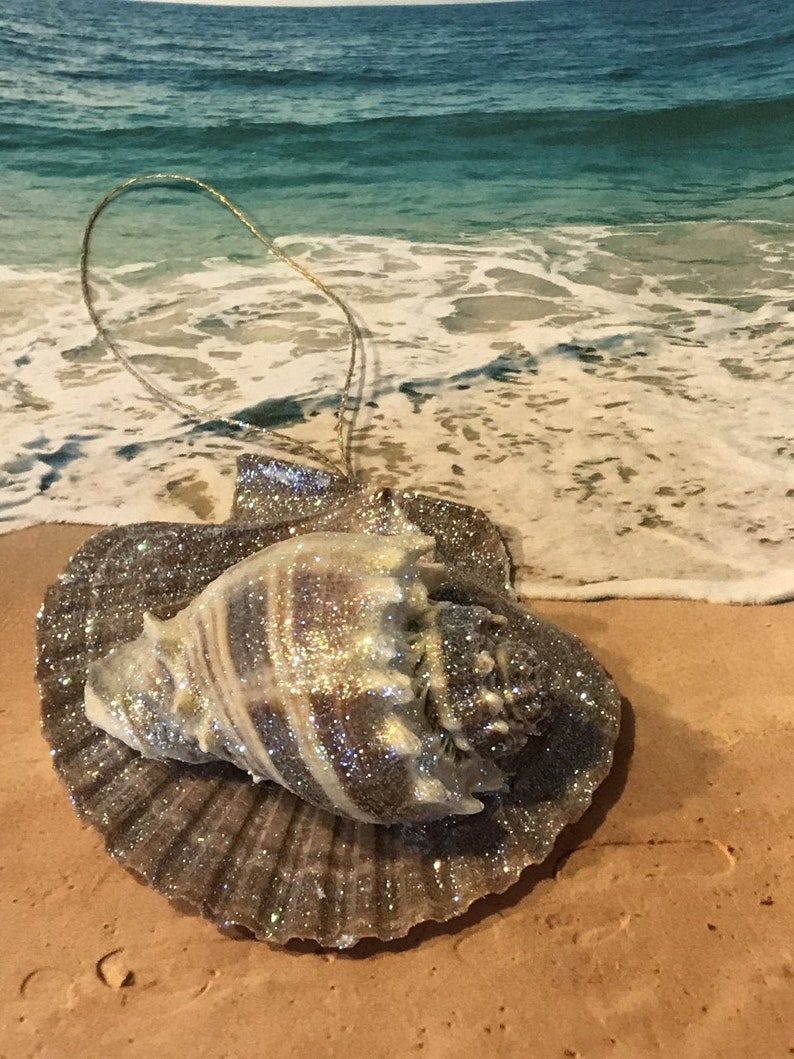 Seashell With Beach Seashells Glitter Beach Decor Glitter Irish Flat ...