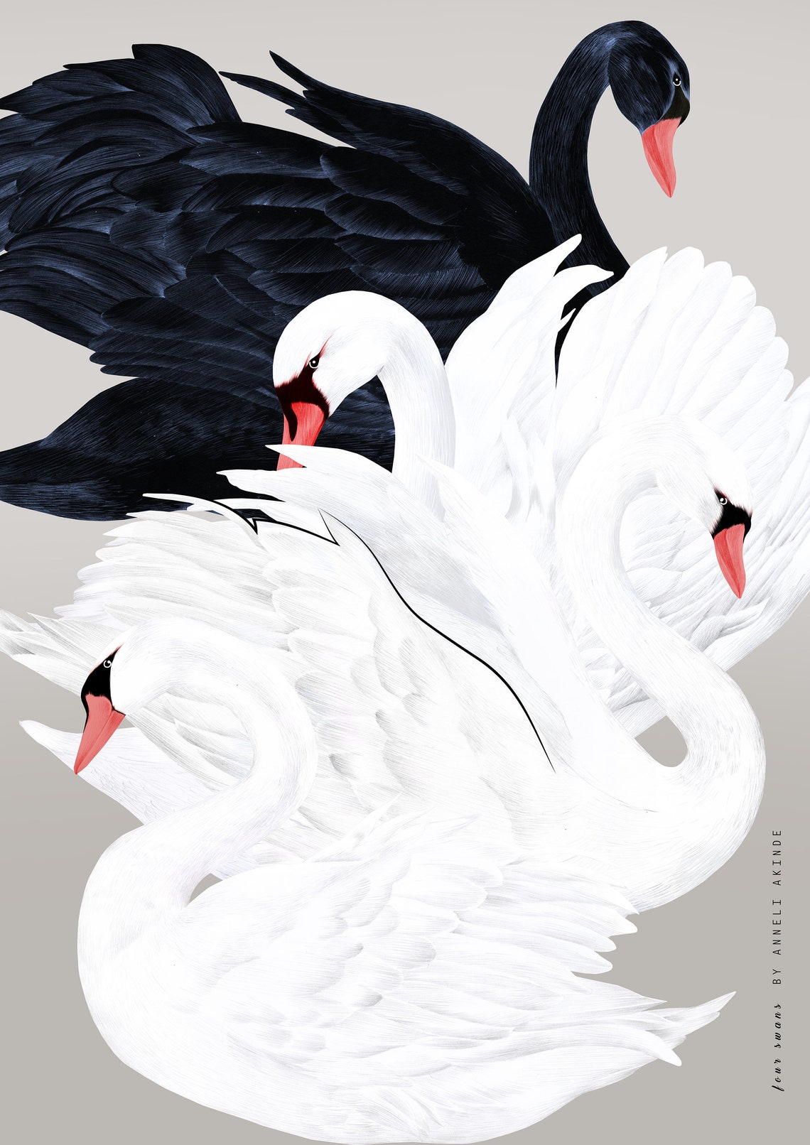 Four Swans Art Print Elegant Wall Decor White Swan Black Swan ...