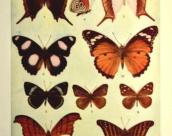 Butterfly gift ideas | Etsy