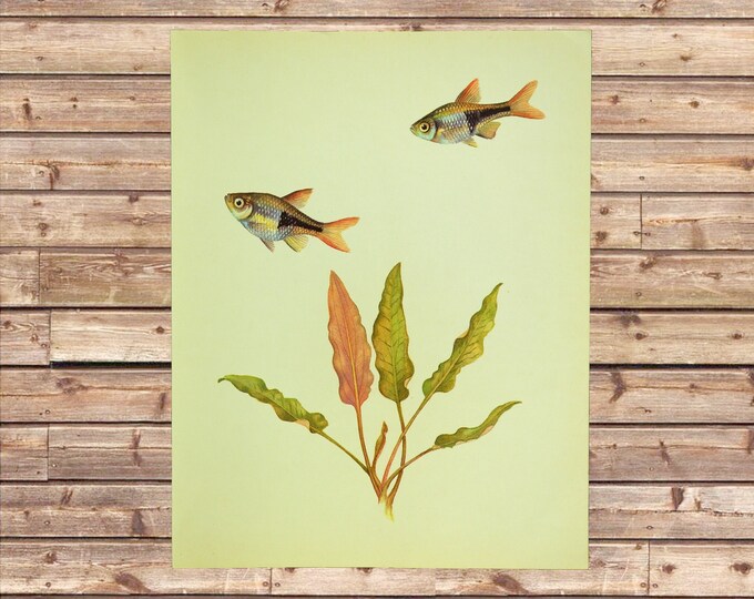 Fish Art Beach House Wall Decor Tropical Decor Aquarium Aquatic Plant ...