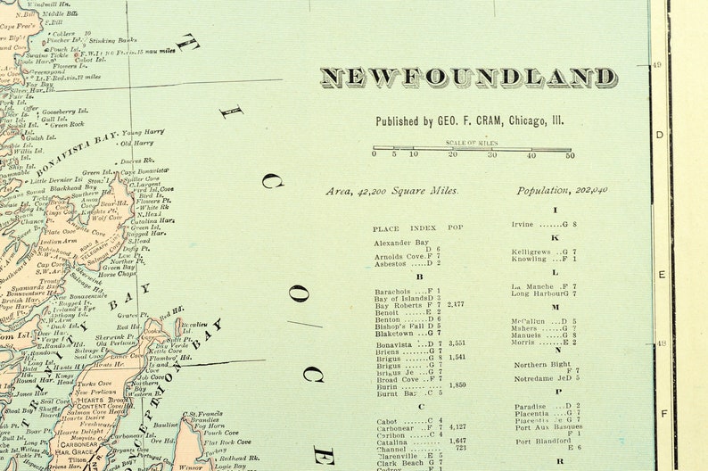 Newfoundland Map of Newfoundland Wall Art Decor Antique | Etsy