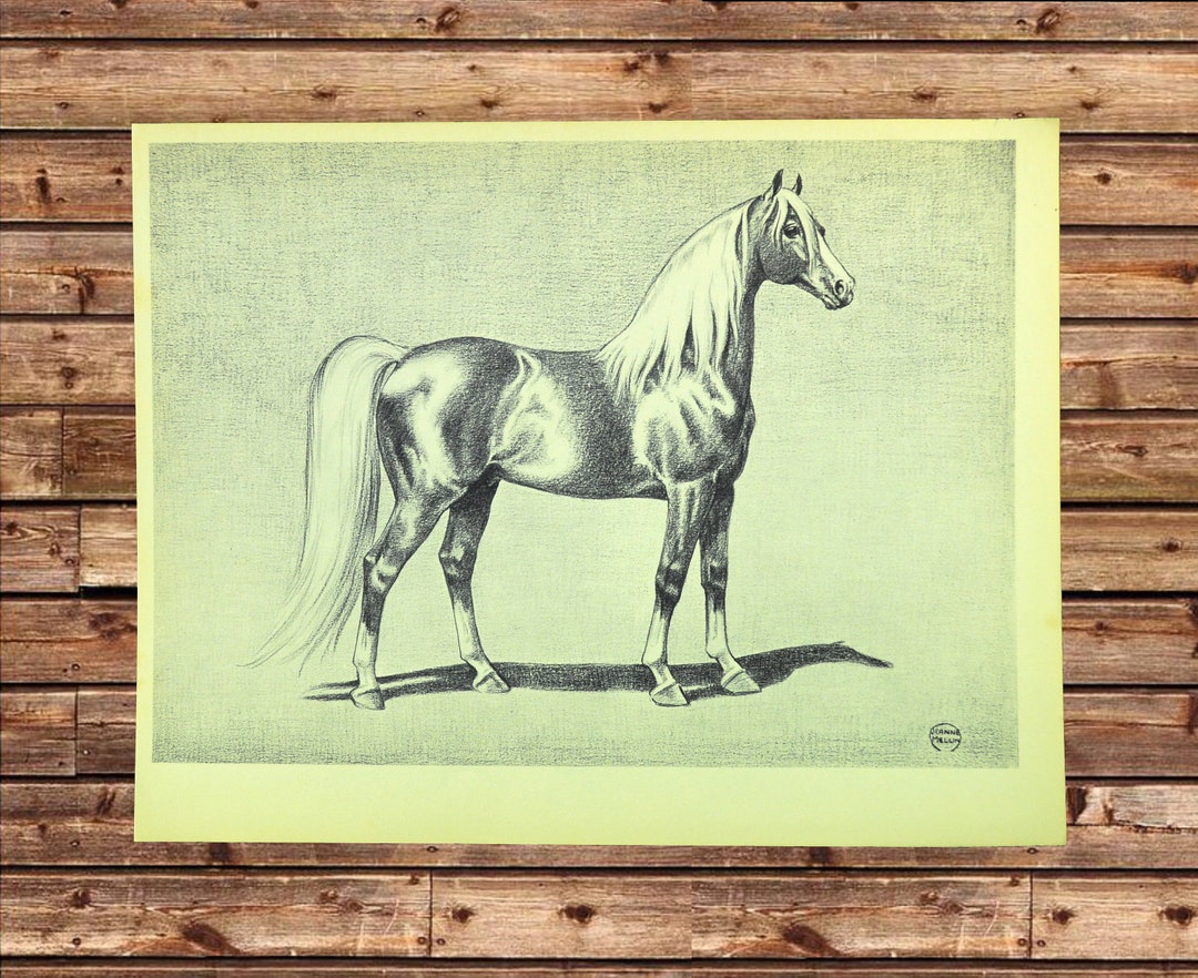 Vintage Palomino Horse Print Wall Art Decor Frameable Ready to Frame ...