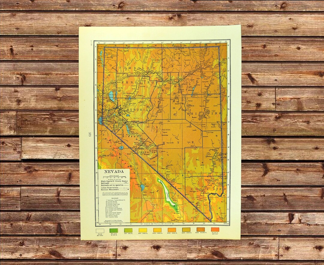 Vintage NEVADA Map of Nevada Topographic Map Wall Art Decor Colorful ...