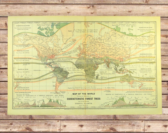1884 World Map of the World Map Forest Map Antique ORIGINAL Gift for ...