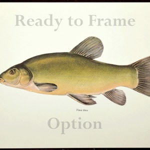 Vintage Fishing Decor Gift For Men Fish Wall Art Cabin Decor | Etsy