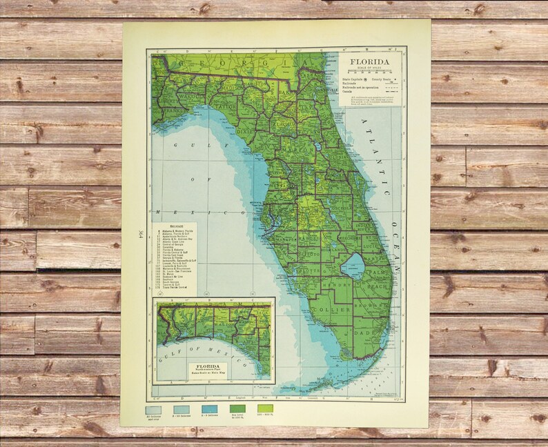 FLORIDA MAP of Florida Wall Art Topographic Map Colorful - Etsy