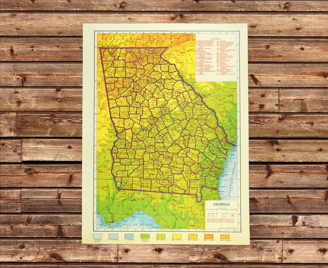 Georgia Topographic Map Wall Art Decor Colorful Colored Old Boyfriend ...