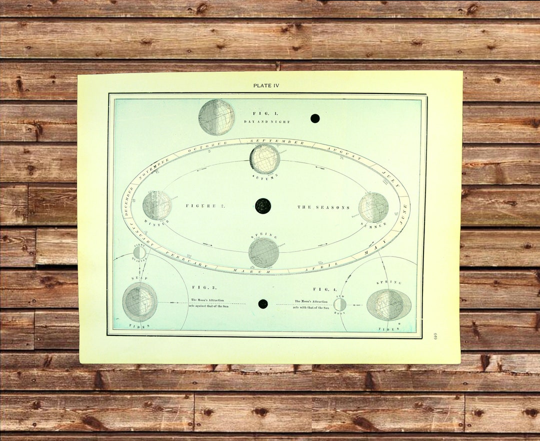 Astrological Diagram Seasonal Chart Earths Rotation Seasons Frameable ...