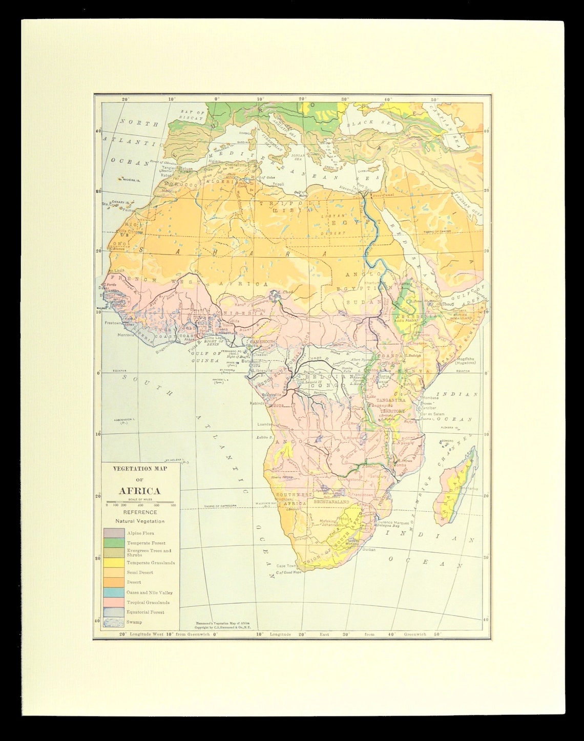 AFRICA MAP of Africa Vegetation Map Frameable Ready to Frame - Etsy