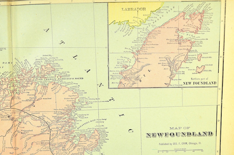 Newfoundland Map of Newfoundland Wall Art Decor Antique - Etsy