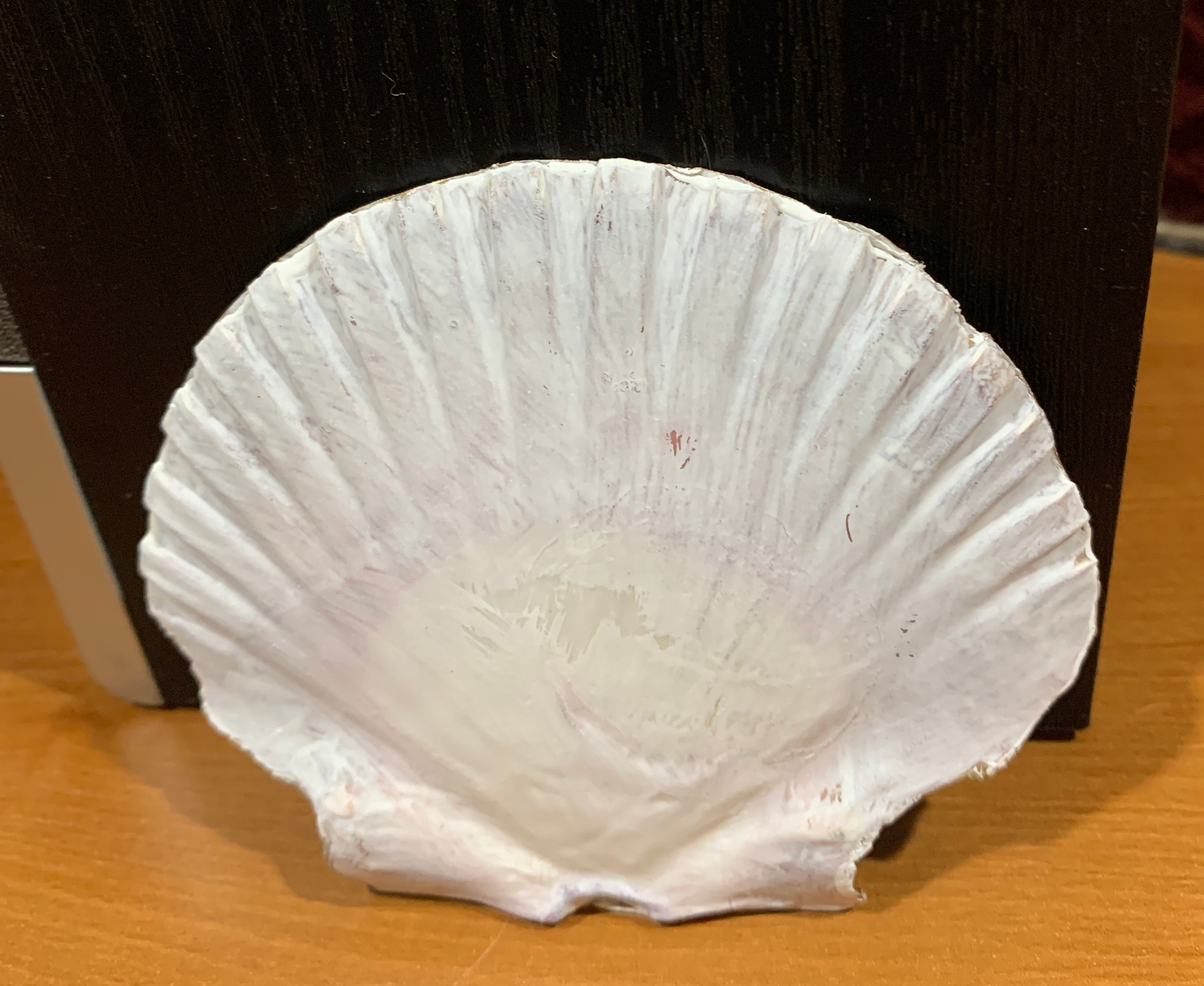 Handmade Decoupage Sea Shell Beach Theme - Etsy