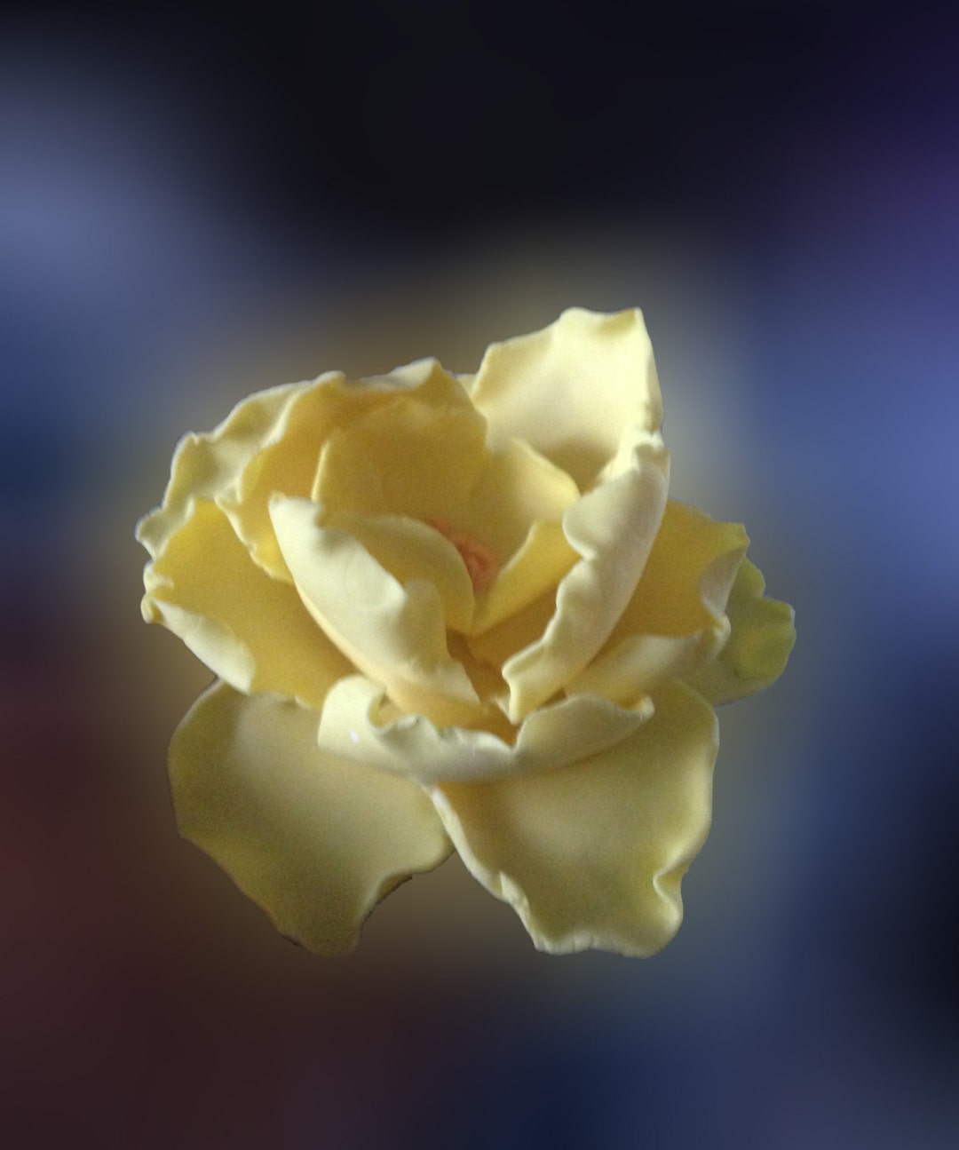 EDIBLE GUMPASTE PEONIES - Etsy