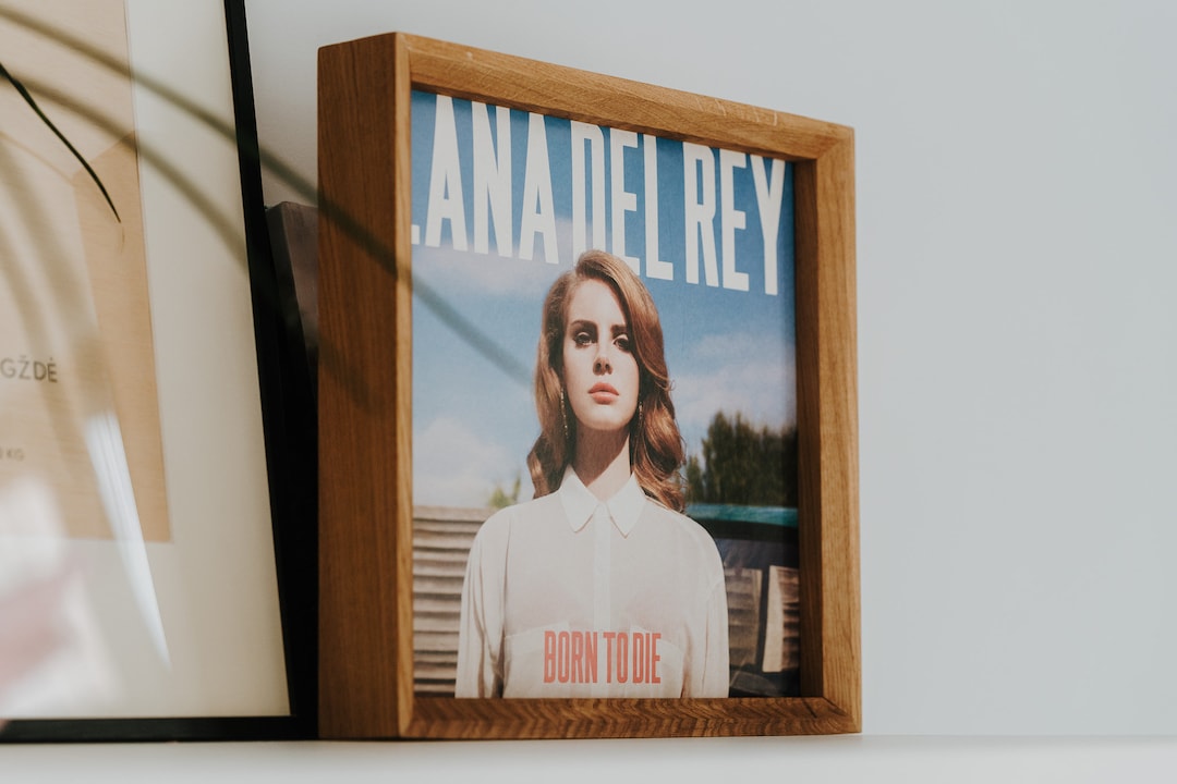 Wooden Natural Oak Vinyl Record Holder | Vinyl Sleeve Display | Vinyl ...