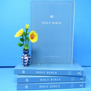 Paperback Holy Bible, Blue English Standard Version - Etsy
