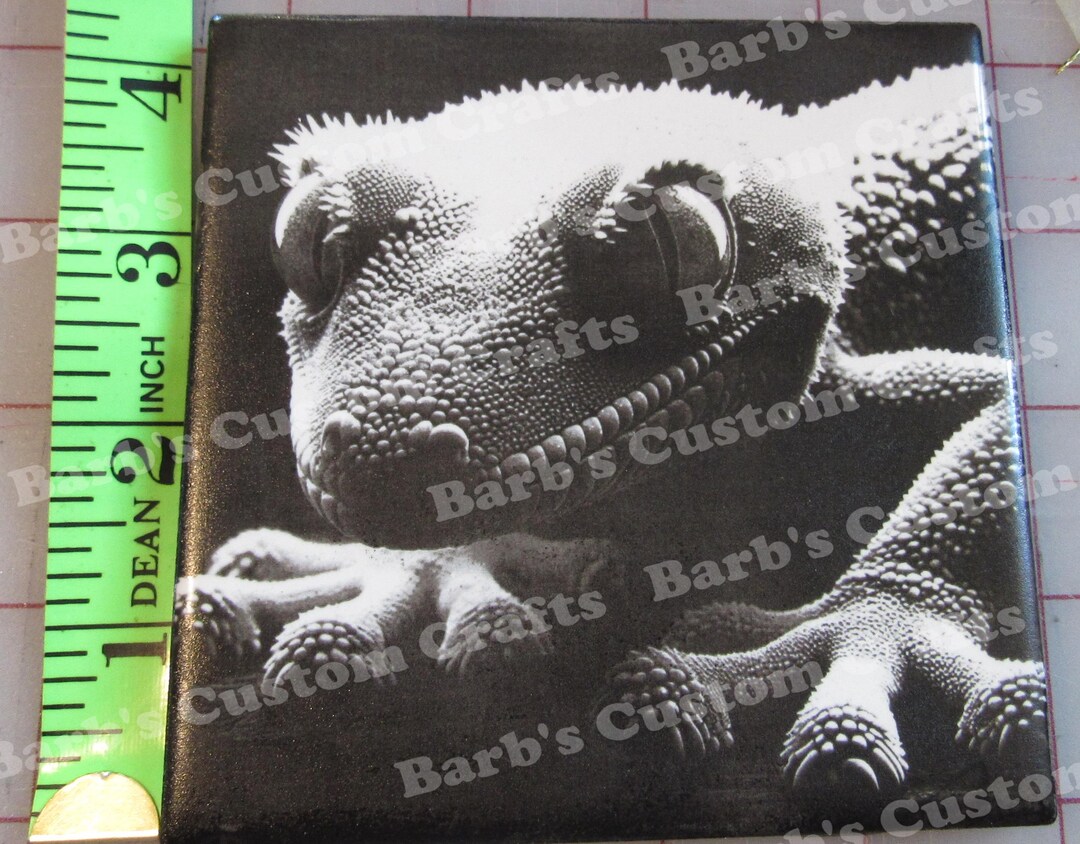 Gecko Tile, Hot Pad, Coaster. Great Gift for Anyone - Etsy