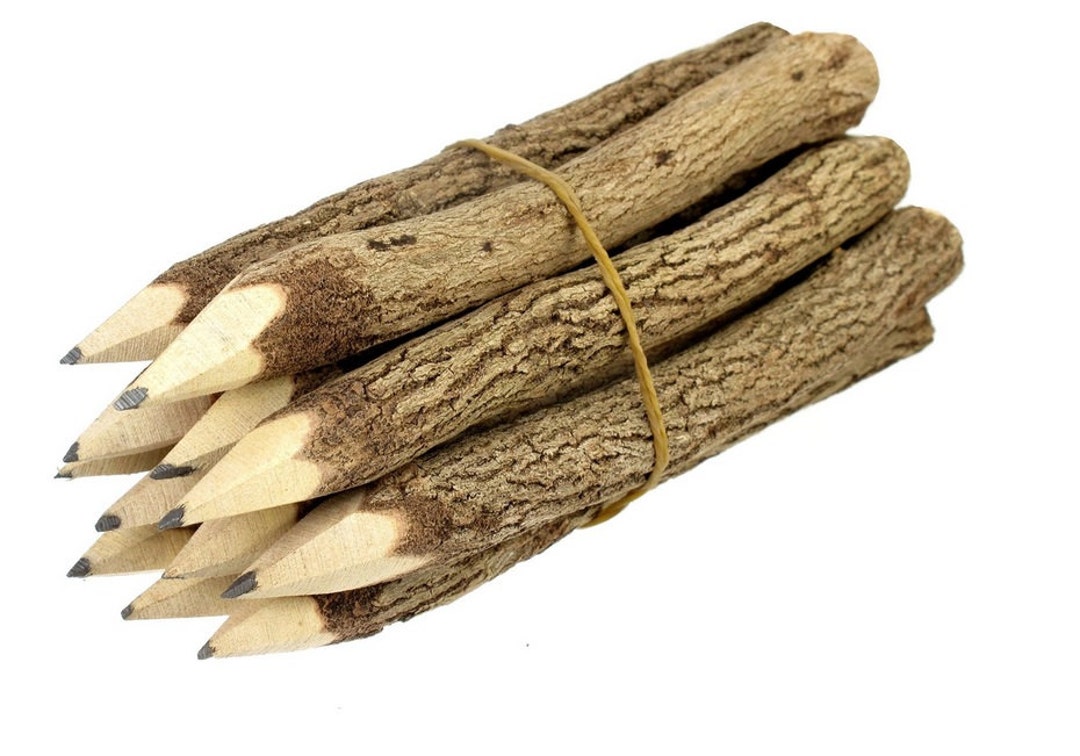 Branch and Twig Graphite Pencils 12 Count Approximately 5 Inches Long ...