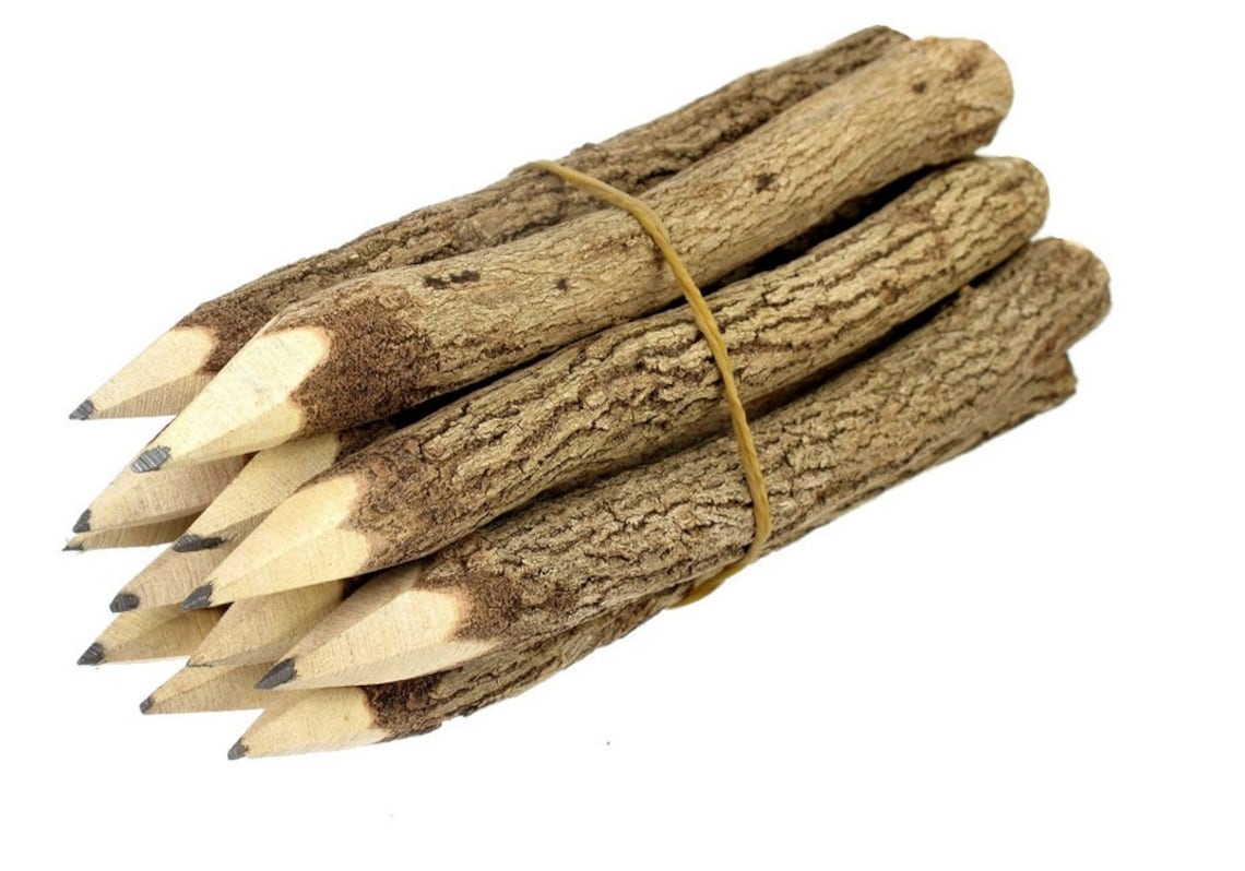Branch and Twig Graphite Pencils 12 Count Approximately 5 - Etsy