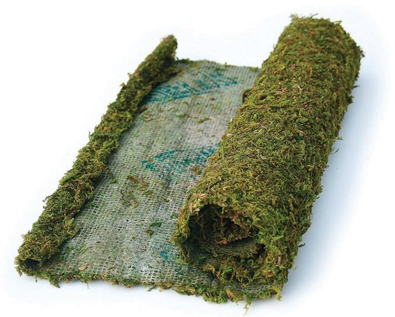 Green Moss Mat Fresh Green 18 Inch by 48 Inch Long Lasting | Etsy