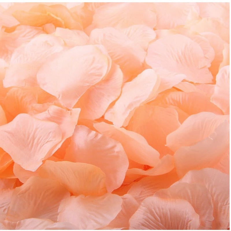 Silk Rose Petals - Etsy