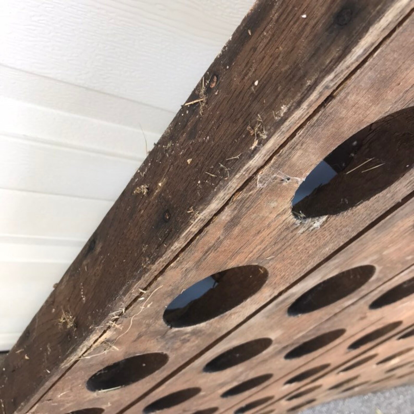 Antique French Wine Racks Riddling Rack French Wine Rack Champagne Rack ...