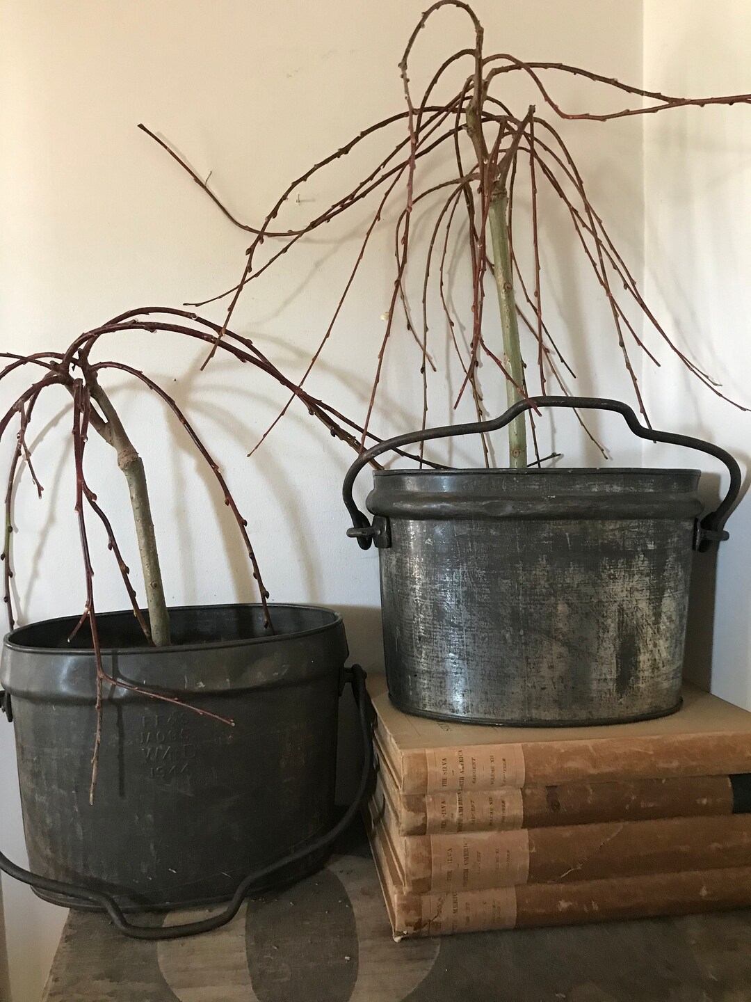 Antique English Industrial Buckets Urns Planters Fire Buckets F Francis ...