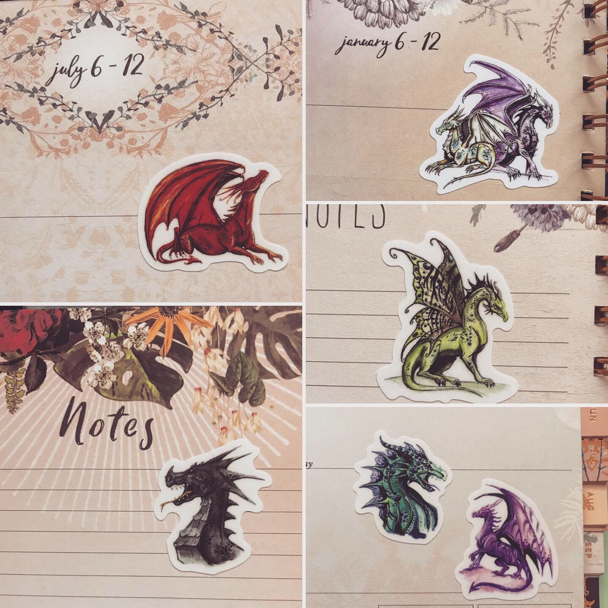Dragon Stickers | Etsy