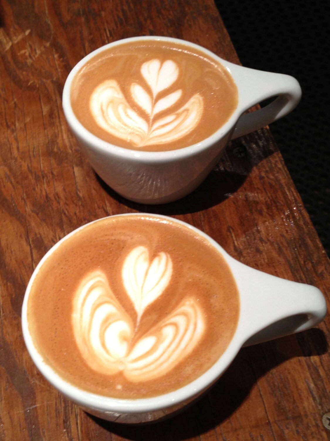 100% Arabica Coffee, Shade Grown - Nicaragua - FARM DIRECT - Direct ...