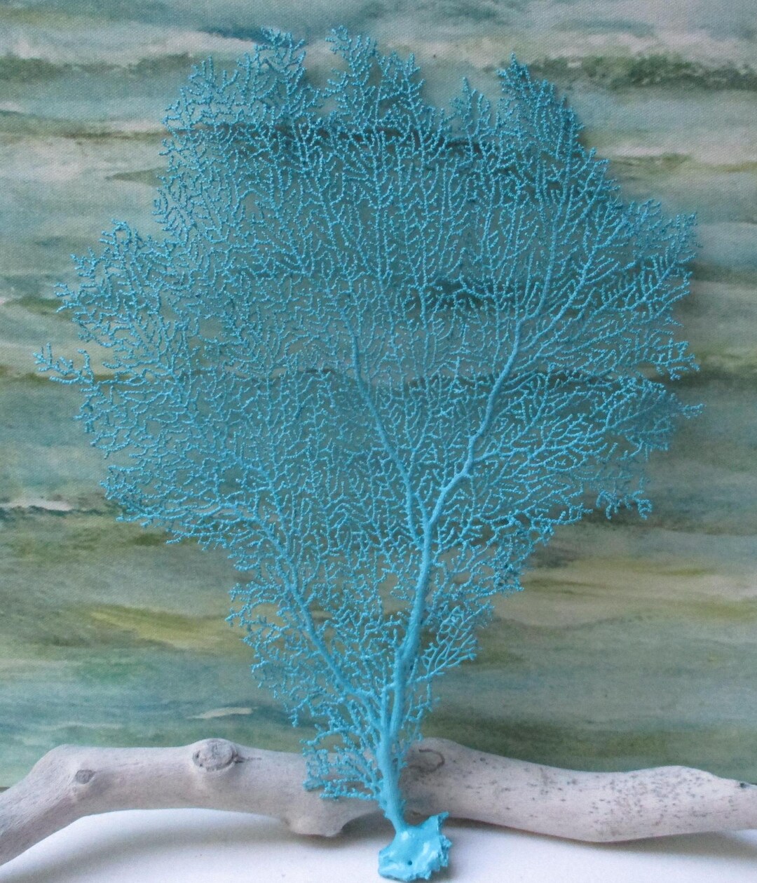 Large Sea Fan Coastal Home Decor, Mantle Shelf Wall Decor, Beach Theme ...
