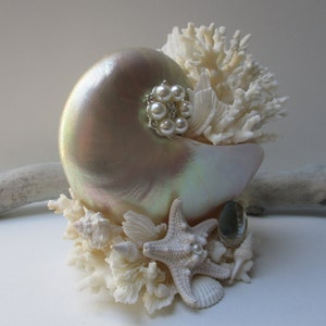 Unique Nautilus Shell & Coral Cake Topper, Beach Themed Wedding Cake ...