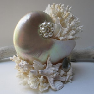 Unique Nautilus Shell & Coral Cake Topper, Beach Themed Wedding Cake ...