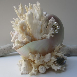 Unique Nautilus Shell & Coral Cake Topper, Beach Themed Wedding Cake ...