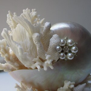 Unique Nautilus Shell & Coral Cake Topper, Beach Themed Wedding Cake ...