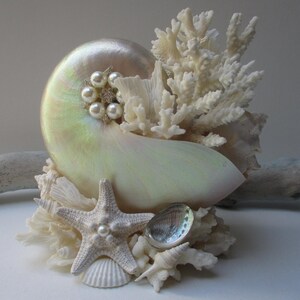 Unique Nautilus Shell & Coral Cake Topper, Beach Themed Wedding Cake ...