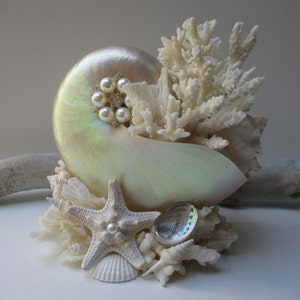 Unique Nautilus Shell & Coral Cake Topper, Beach Themed Wedding Cake ...