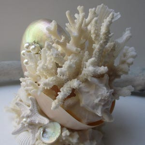 Unique Nautilus Shell & Coral Cake Topper, Beach Themed Wedding Cake ...