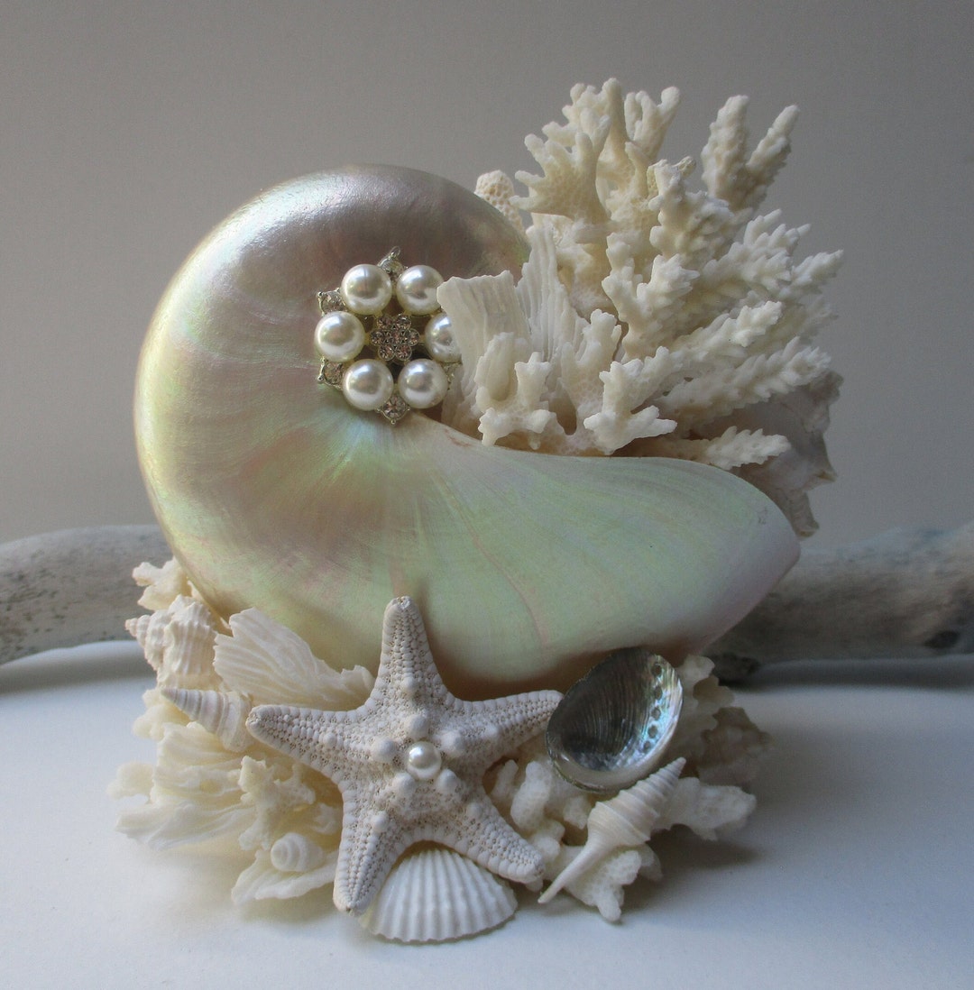 Unique Nautilus Shell & Coral Cake Topper, Beach Themed Wedding Cake ...