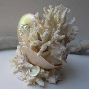 Unique Nautilus Shell & Coral Cake Topper, Beach Themed Wedding Cake ...