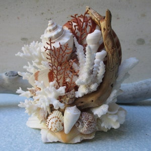 Beach Theme Cake Topper, Coastal Nautical Orange Tiger Nautilus Shell ...