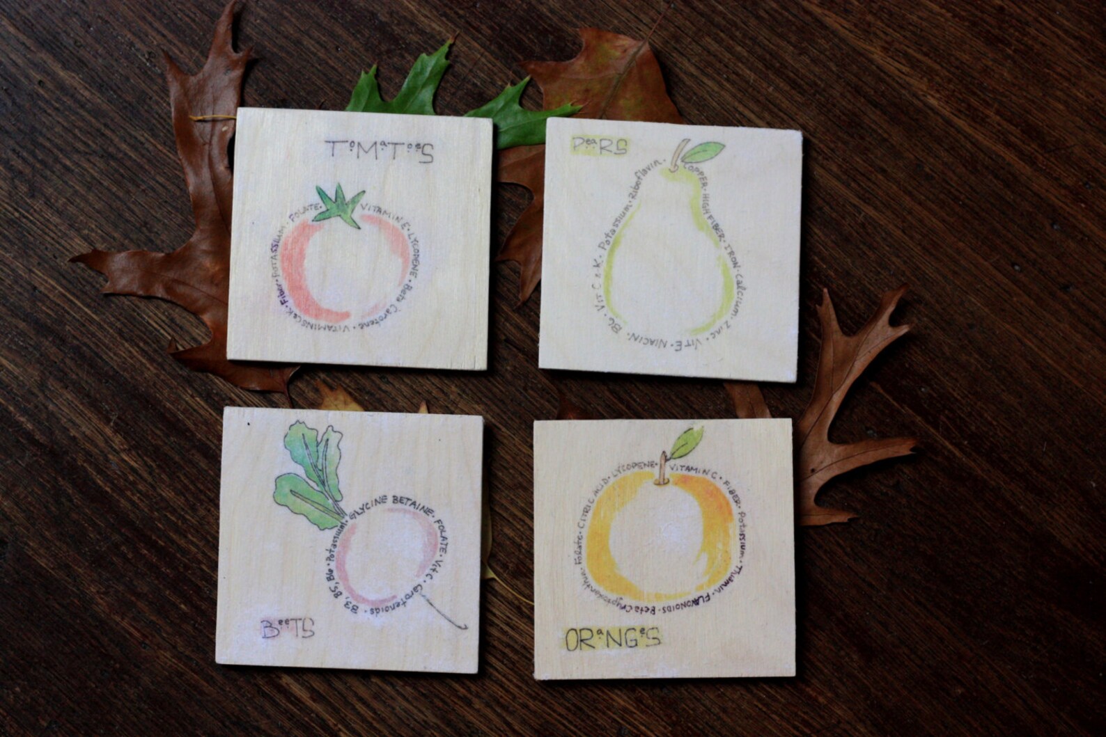 Fruit and Vegetable Nutrition Coasters - Etsy