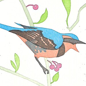 Varied Thrush Linoleum Cut Greeting Card 5 Colors 4 X - Etsy