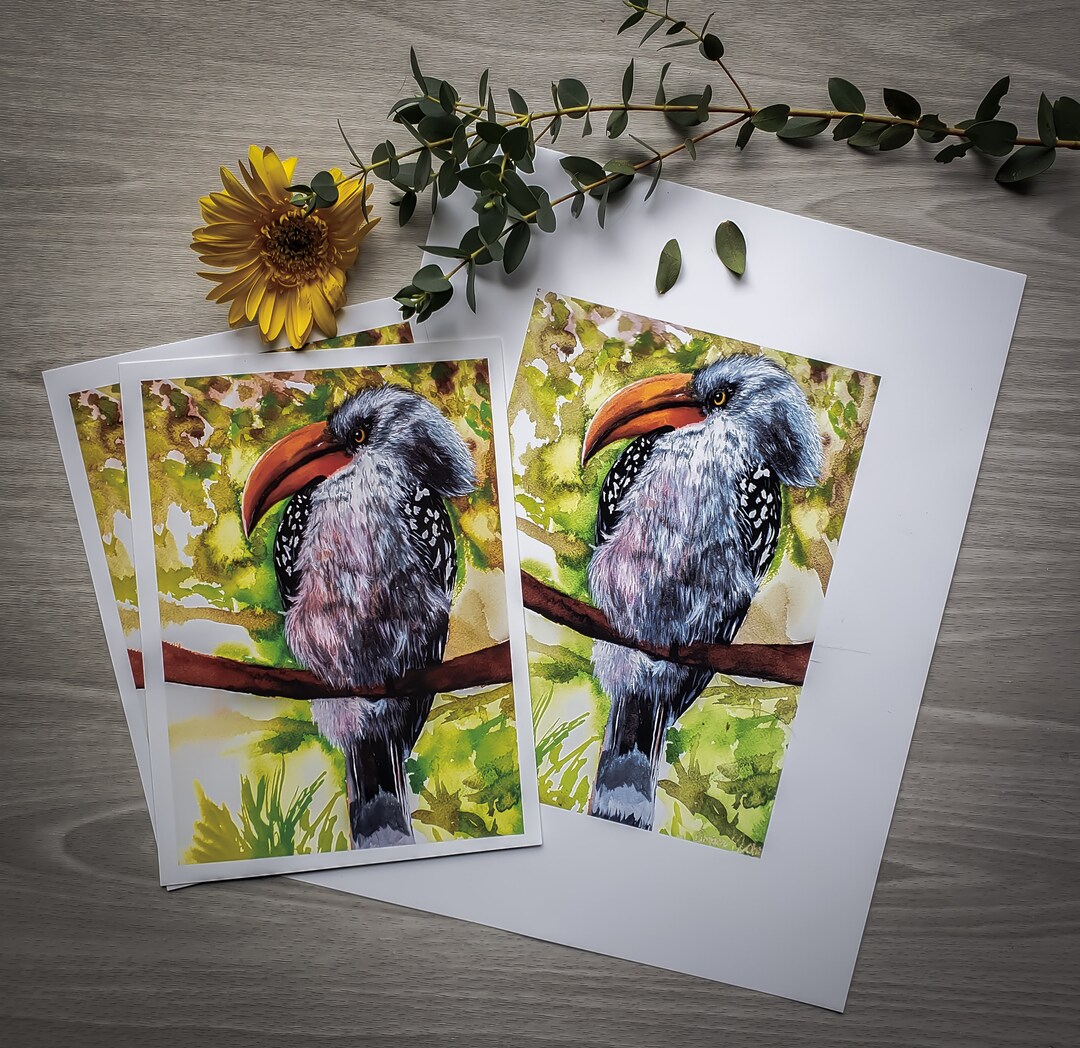 High Quality ZAZU Print (sizes 5x7, 8x10) - Etsy