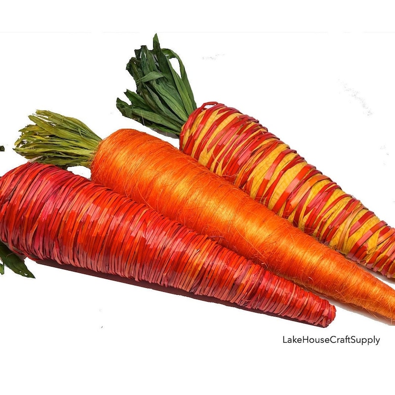Carrot Decor - Etsy