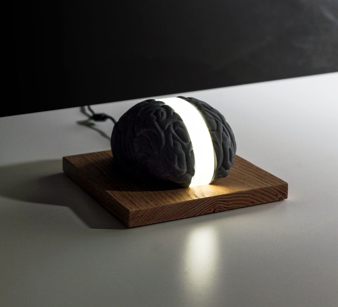 Mesmerizing Brain Lamp: A Unique Light for Your Space. Anatomical Brain ...