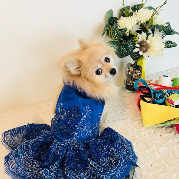 Blue Dog Dress - Etsy