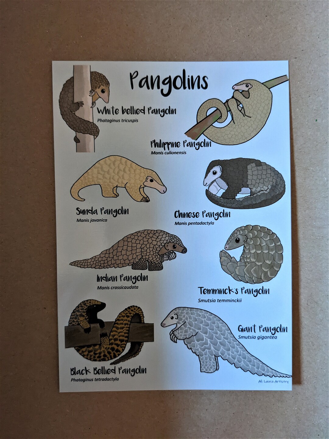 Pangolins Postcard Sized Print - Etsy