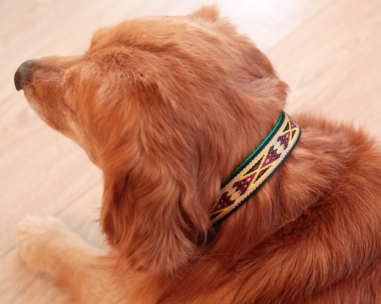 Custom Leather Red/black/yellow Dog Collar. Navajo Sand 1" - Etsy