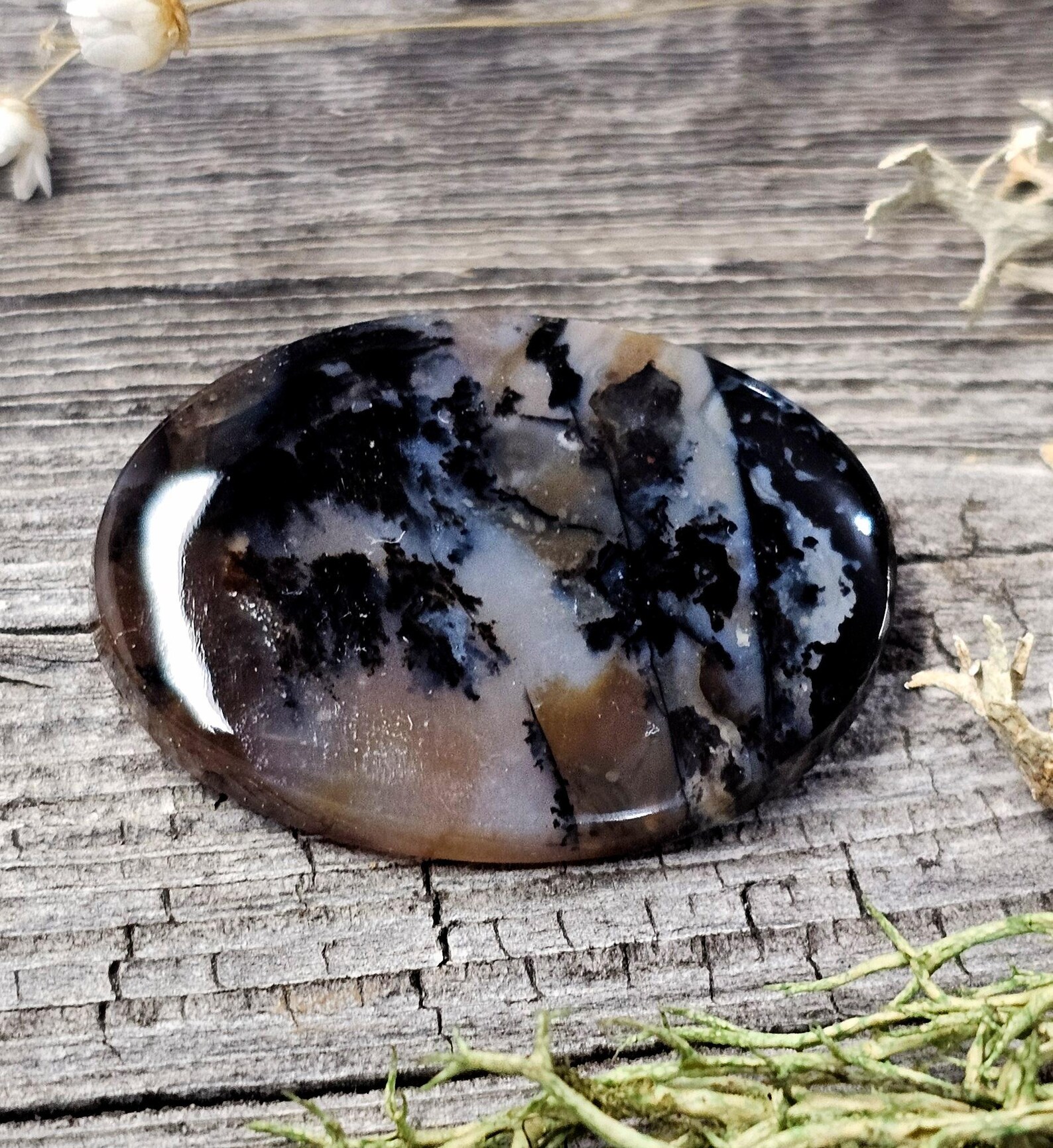 Dendritic Paiute Agate From Oregon. a Rare Stone With Great Character ...