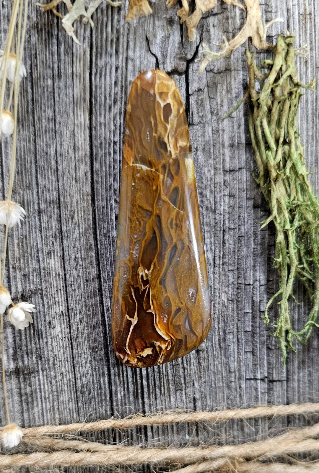 Petrified Palm Wood AKA "pocket Rot Palm Wood" Cabochon From Indonesia ...